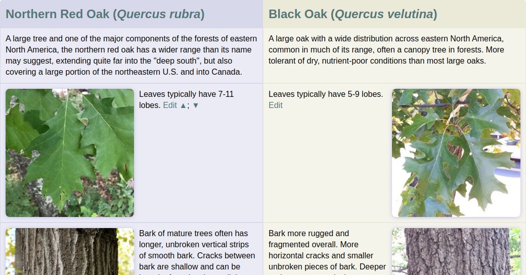Plant Comparison and ID Guides - bplant.org