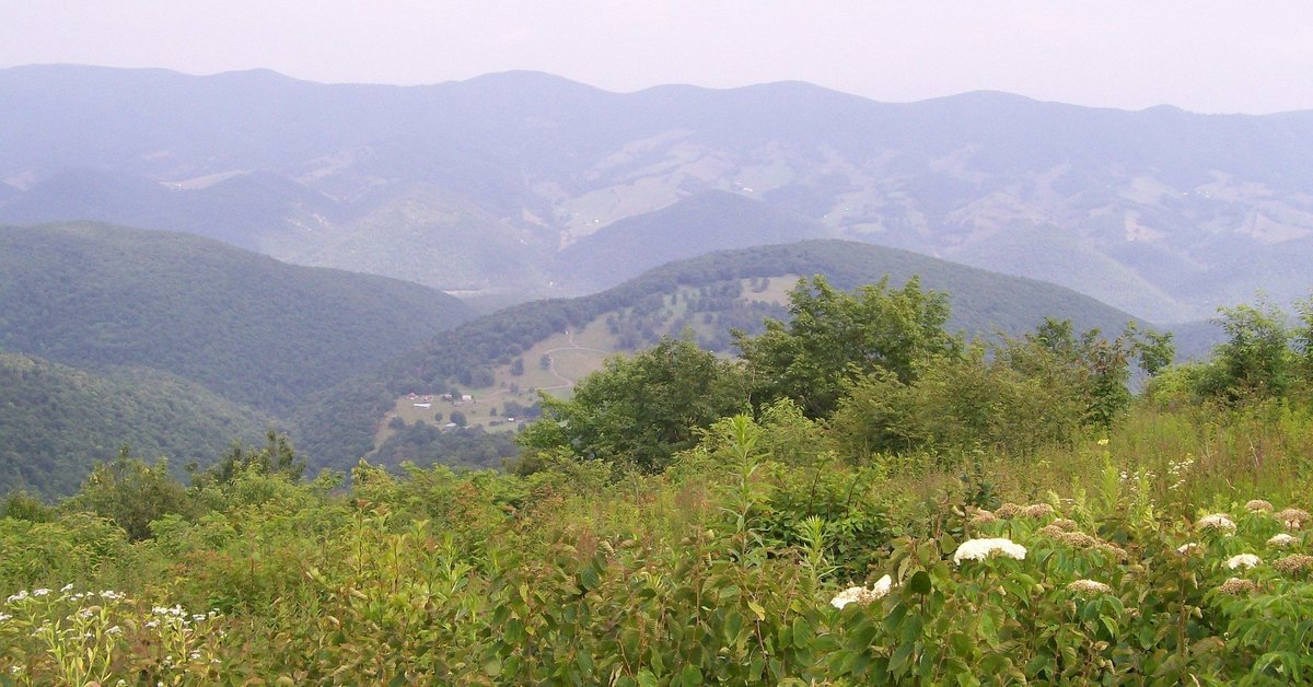 Northern Dissected Ridges and Knobs - bplant.org