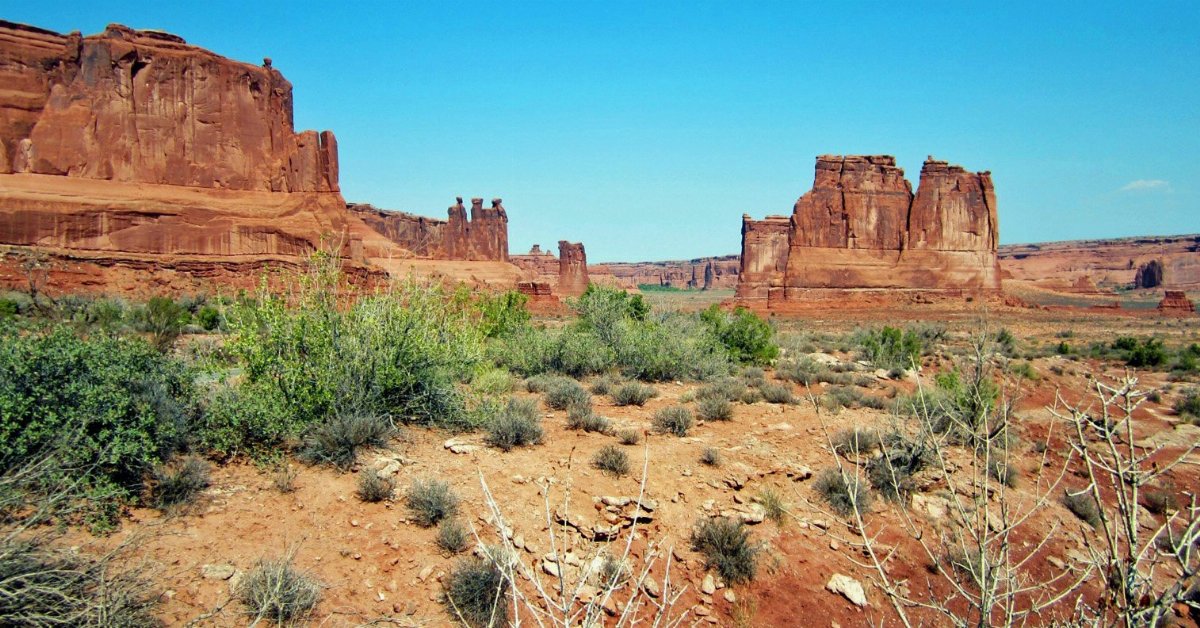 Cold Deserts - bplant.org