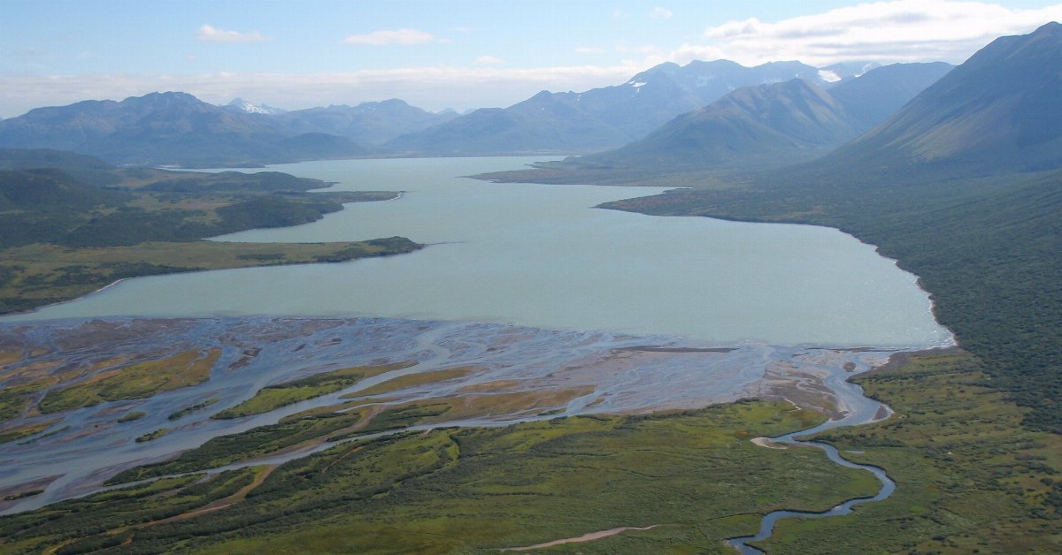 Alaska Peninsula Mountains - bplant.org