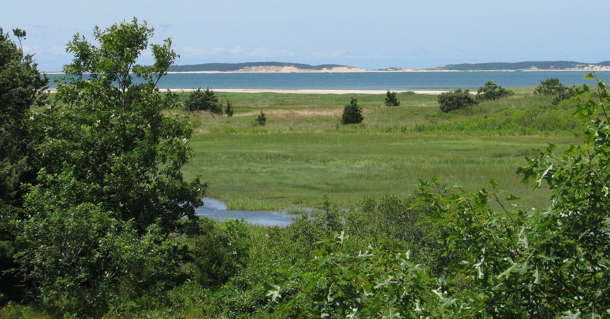 Cape Cod/Long Island - bplant.org