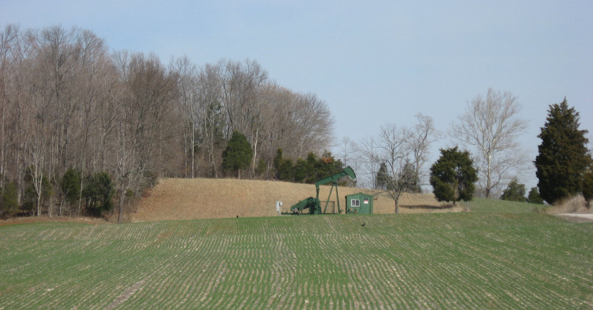 Mitchell Plain - bplant.org