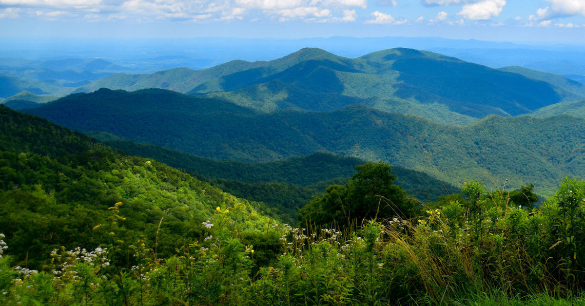 Southern Crystalline Ridges and Mountains - bplant.org