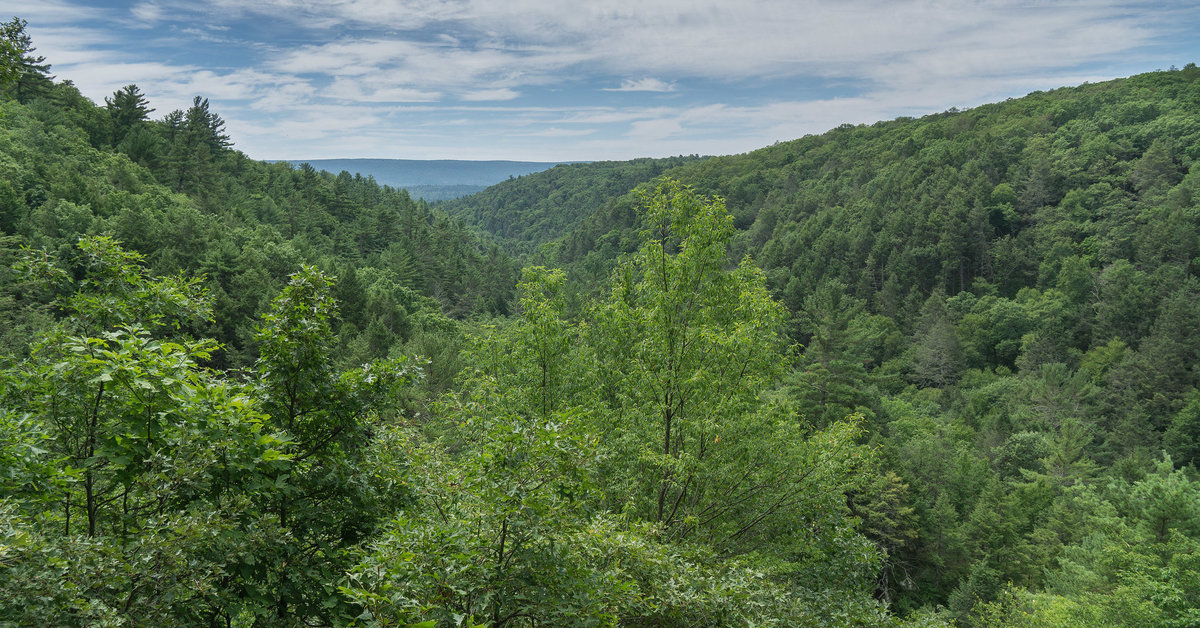 Low Poconos - bplant.org