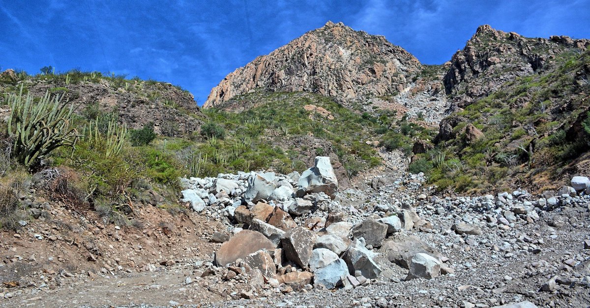 Baja Californian Desert - bplant.org