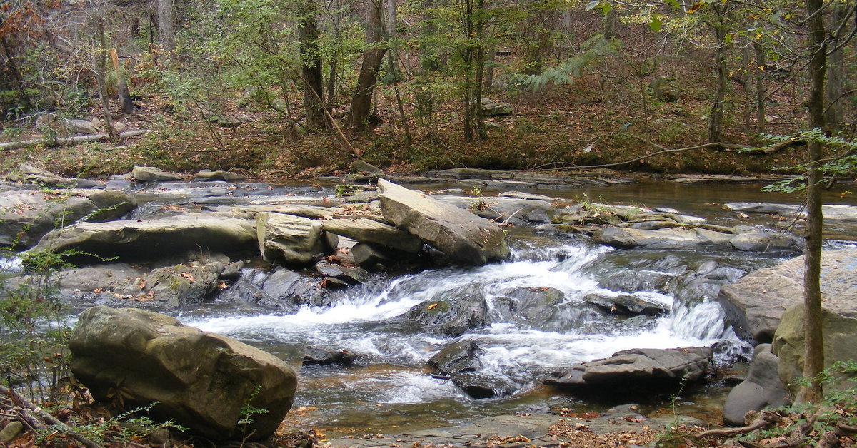 Shale Hills - bplant.org