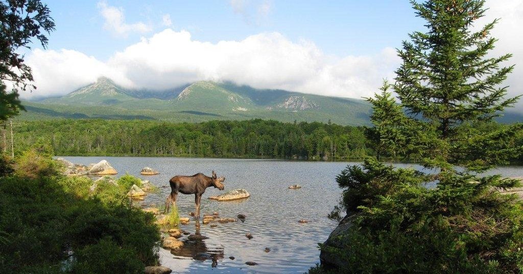 Quebec/New England Boundary Mountains - bplant.org