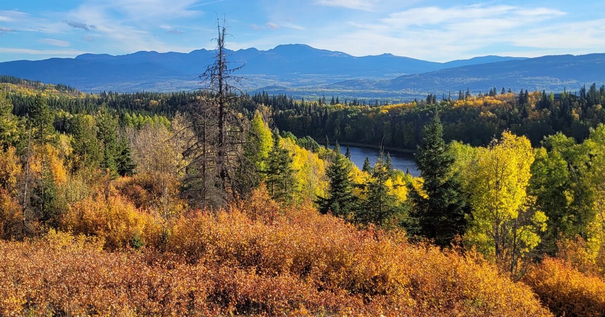 Skeena-Omineca-Central Canadian Rocky Mountains - bplant.org
