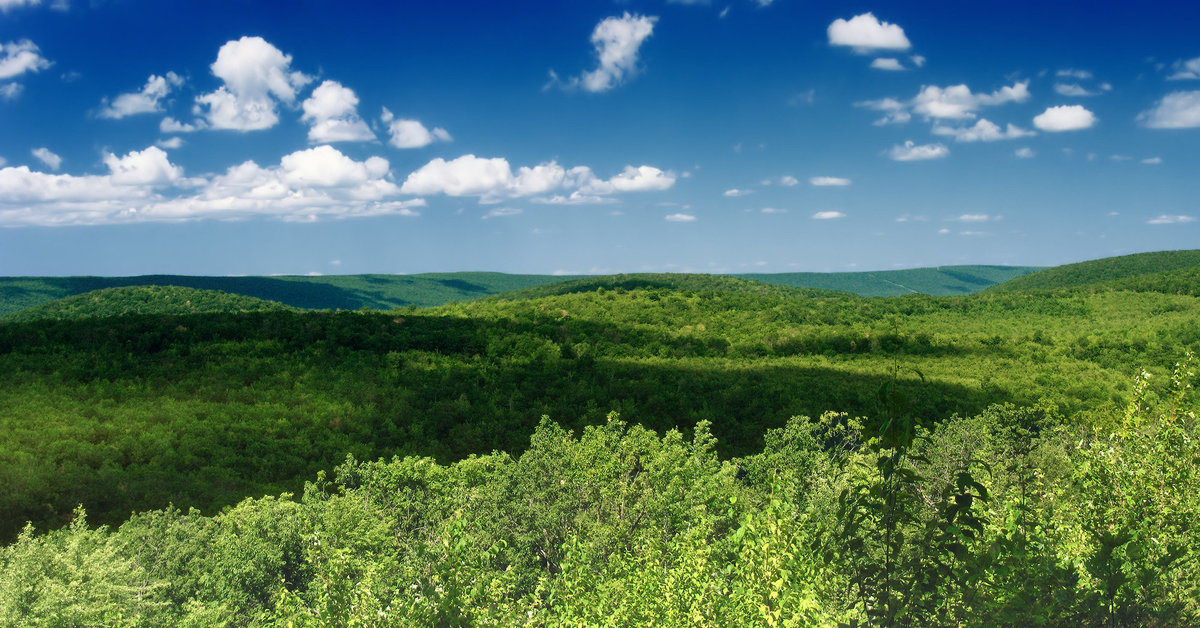 Northern Sandstone Ridges - bplant.org