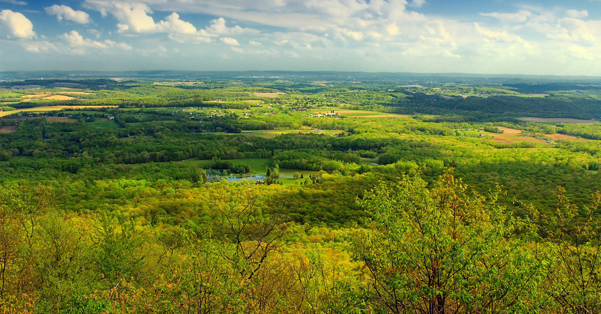 Northern Shale Valleys - bplant.org