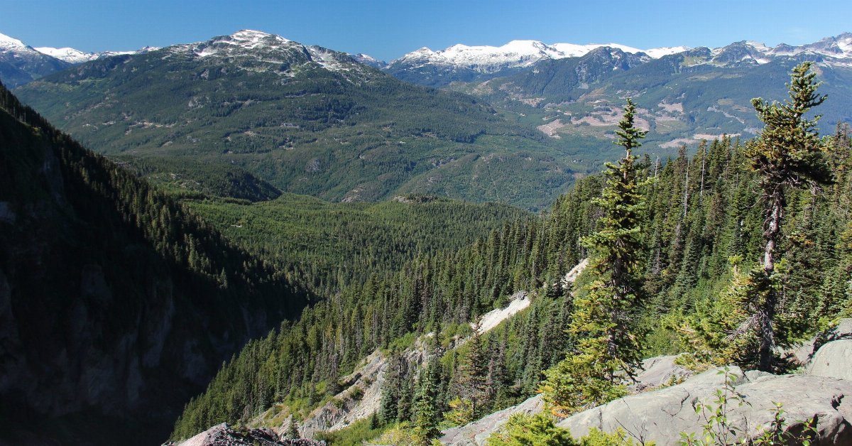 Pacific and Nass Ranges - bplant.org